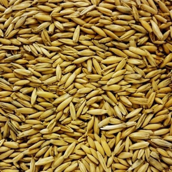 Malted Oats (250 g) — Water 'N' Wine Stellarton